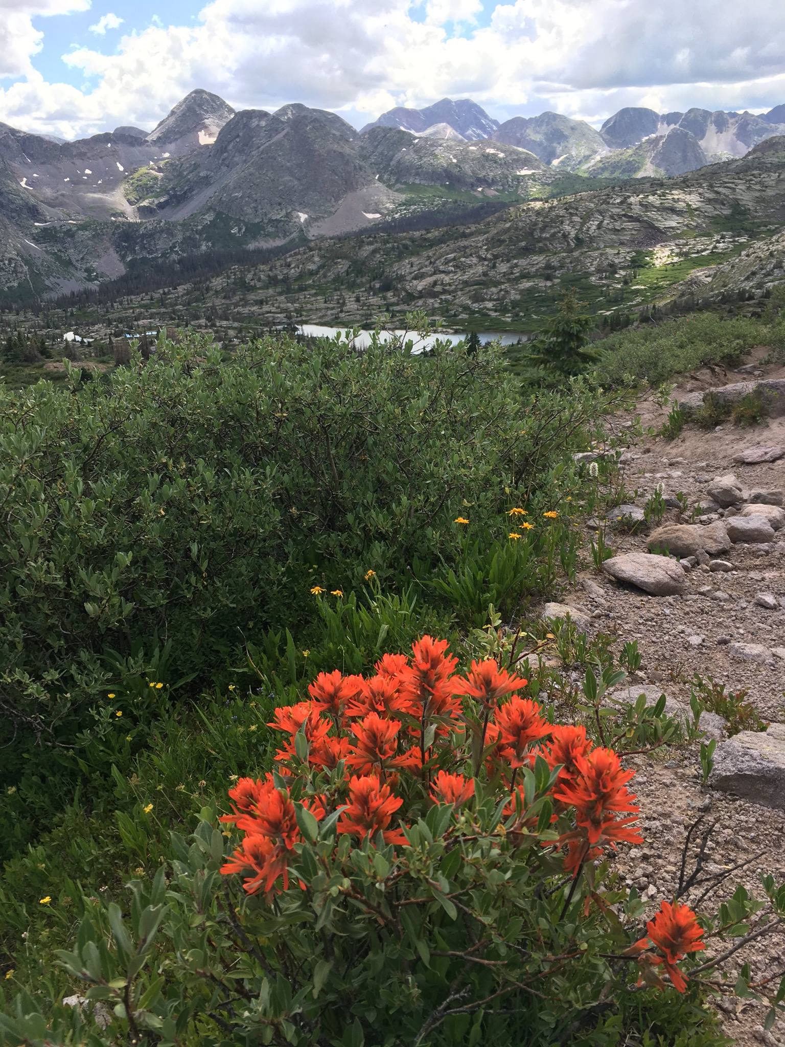 Chasing The Needles and Grenadier Range – A San Juan Trail Running ...
