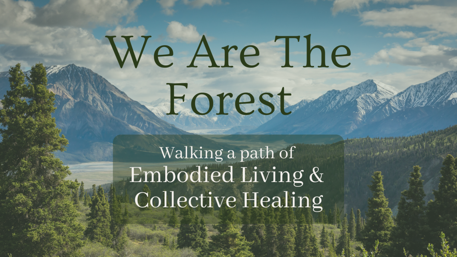 We Are The Forest Community – We Are The Forest